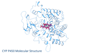 CYP Interaction • Frontage Laboratories